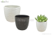 Dolomite - Wholesale pots, baskets, decorations for flowers and plants ...