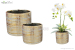 Dolomite - Wholesale pots, baskets, decorations for flowers and plants ...