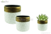 Dolomite - Wholesale pots, baskets, decorations for flowers and plants ...