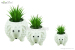 Dolomite - Wholesale pots, baskets, decorations for flowers and plants ...