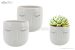Dolomite - Wholesale pots, baskets, decorations for flowers and plants ...