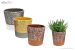 Dolomite - Wholesale pots, baskets, decorations for flowers and plants ...