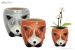 Dolomite - Wholesale pots, baskets, decorations for flowers and plants ...